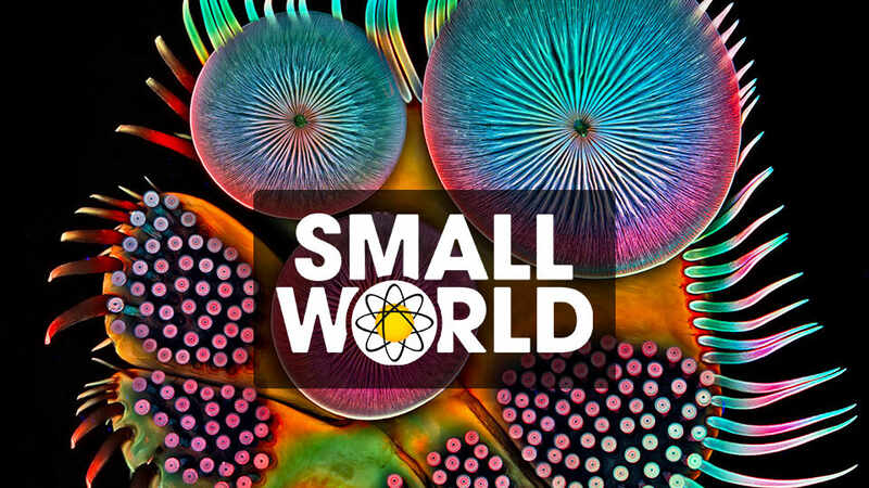 学ぶ・知る | 株式会社ニコンソリューションズ