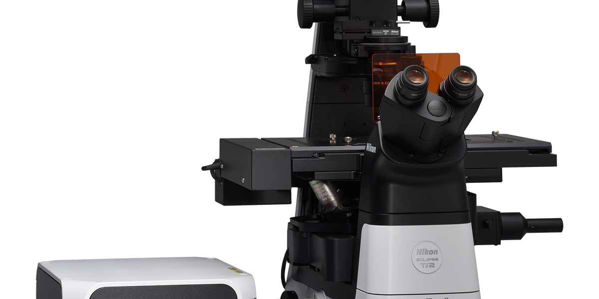 AX / AX R | Confocal Microscopes | Nikon Instruments Products | Nikon ...