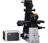 Confocal Microscopes | Products | Nikon Instruments Inc.