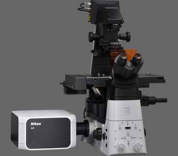 ECLIPSE Ti2 Series | Inverted Microscopes | Nikon Instruments Products | Nikon Instruments Inc.