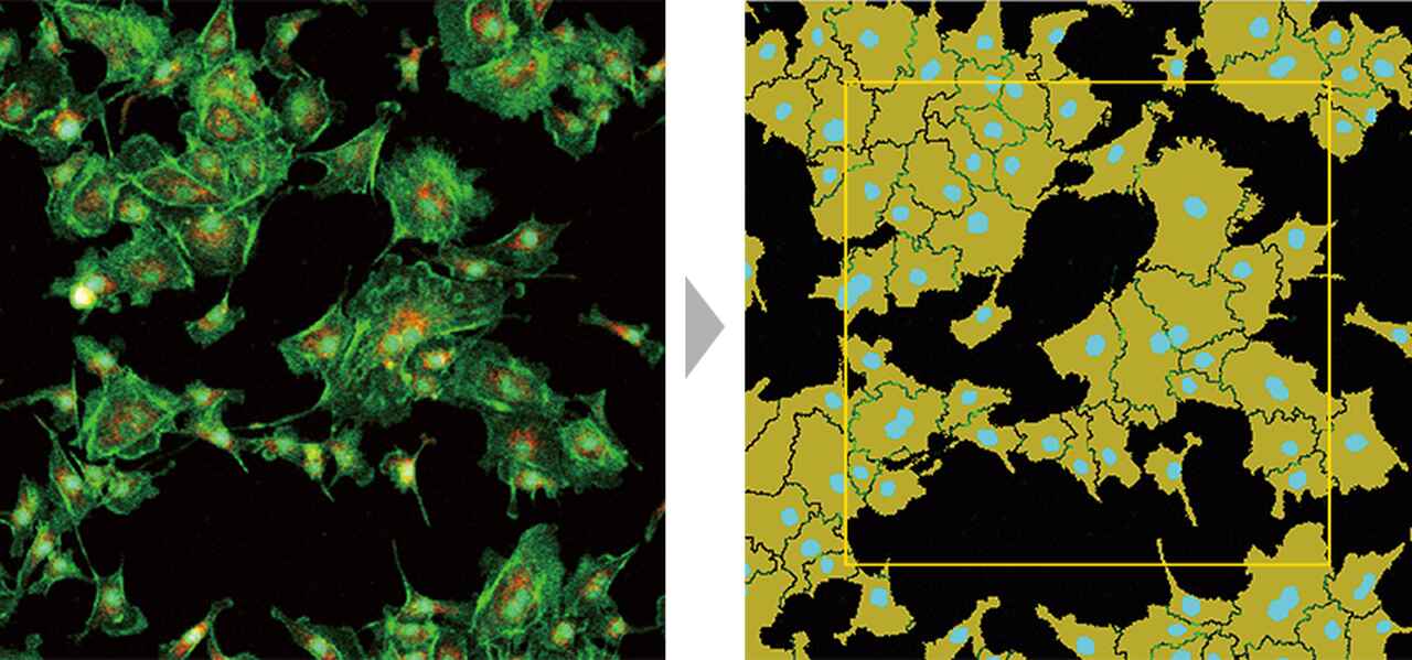A1 HD25 / A1R HD25 | Confocal Microscopes | Products | Nikon ...
