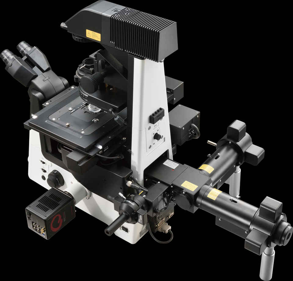 AX / AX R | Confocal Microscopes | Products | Nikon Corporation ...