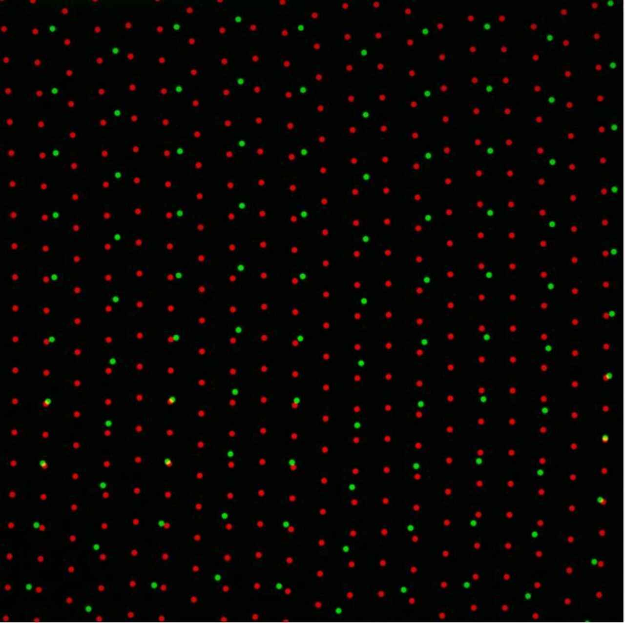 Crest X-Light V3 | Crest X-Light Series | Confocal Microscopes ...