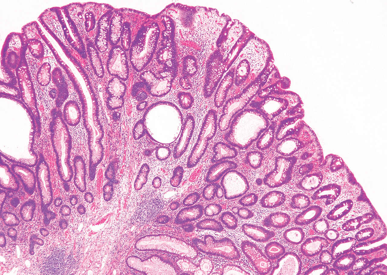 DS-Fi3 | Cameras | Products | Nikon Instruments Inc.