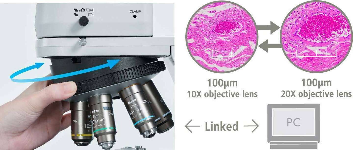 ECLIPSE Ci Series | Upright Microscopes | Nikon Instruments Products ...