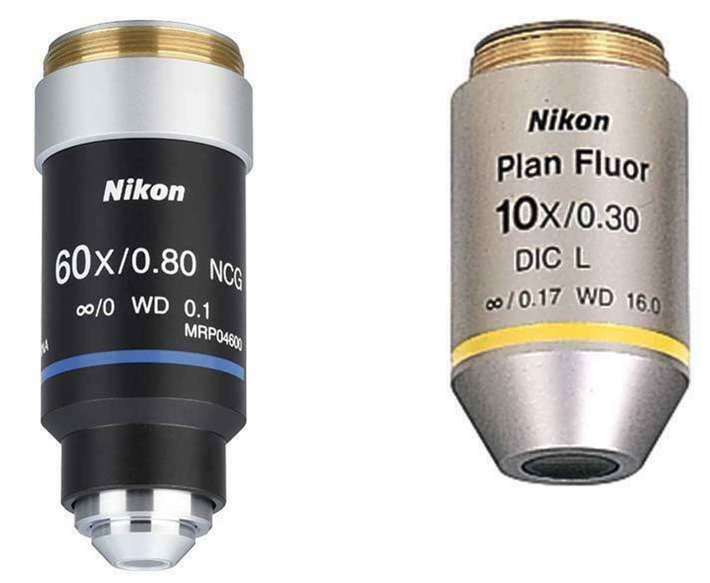 ECLIPSE Ci Series | Upright Microscopes | Nikon Instruments Products ...