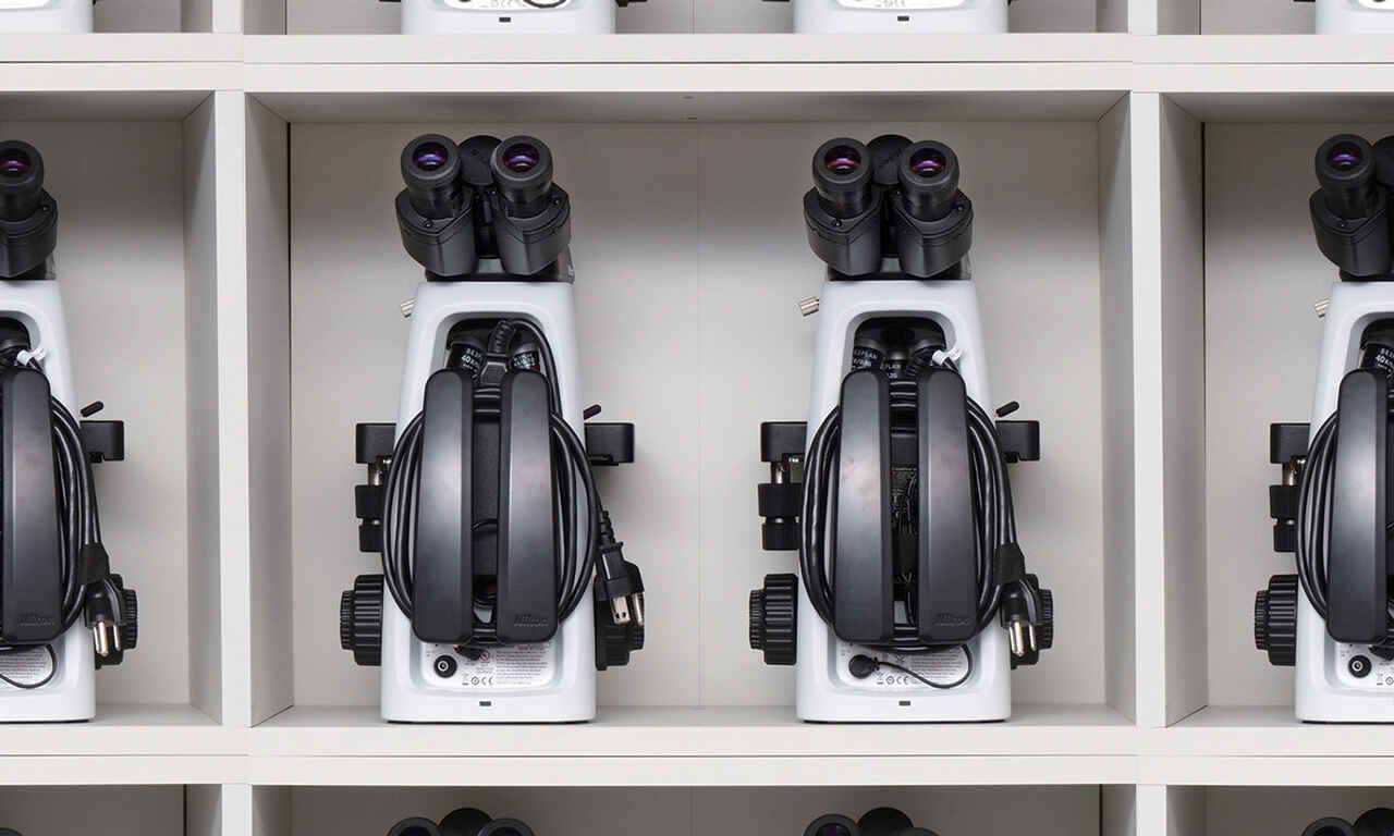 ECLIPSE Ei | Upright Microscopes | Nikon Instruments Products | Nikon ...