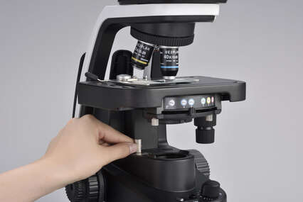 ECLIPSE Ei | Upright Microscopes | Nikon Instruments Products | Nikon ...