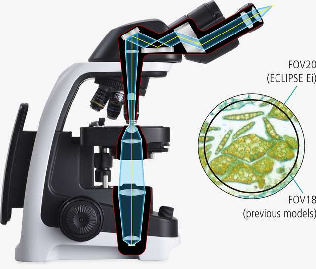 ECLIPSE Ei | Upright Microscopes | Products | Nikon Instruments Europe B.V.
