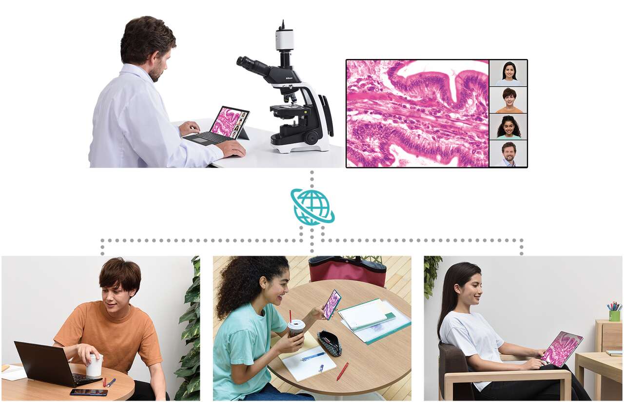 ECLIPSE Ei | Microscópios verticais | Produtos | Nikon Instruments Inc.