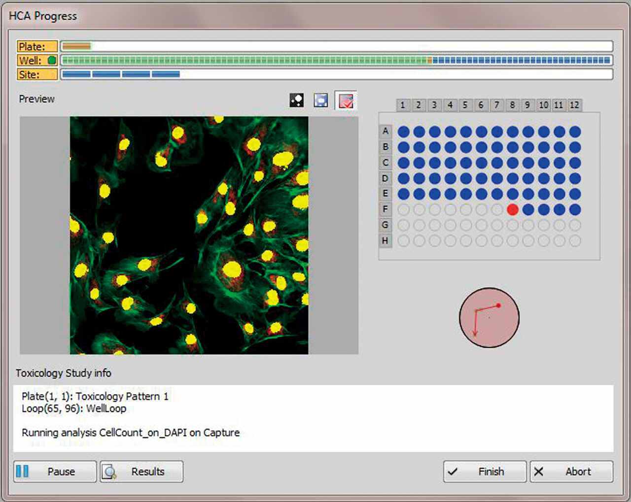 NIS-Elements HC | NIS-Elements | Software | Products | Nikon Corporation Healthcare Business Unit