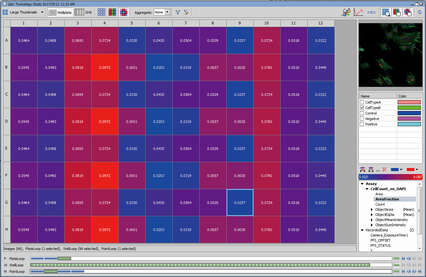 NIS-Elements HC | NIS-Elements | Software | Products | Nikon ...