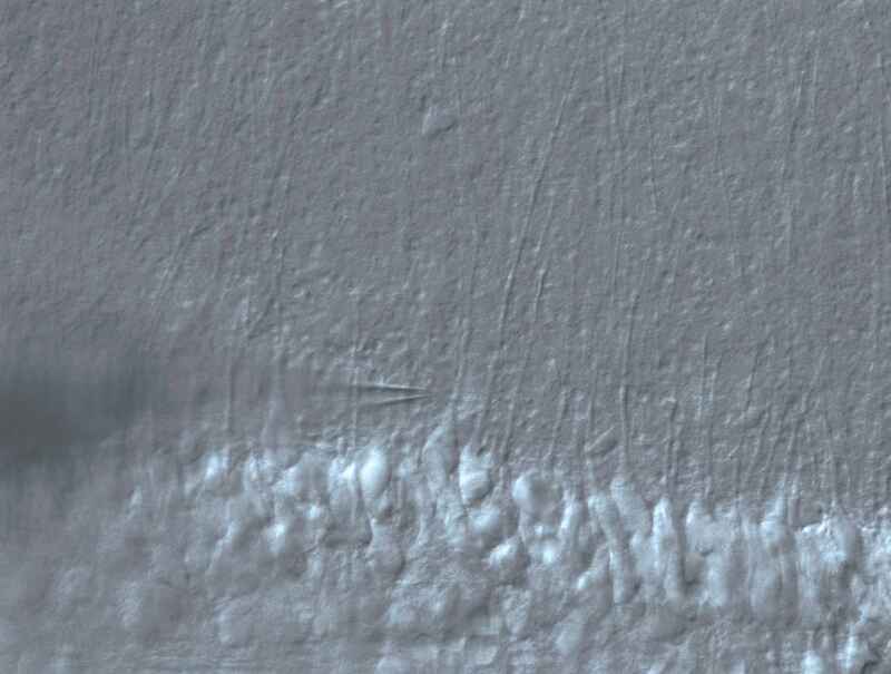 ECLIPSE FN1 | Upright Microscopes | Products | Nikon Corporation ...