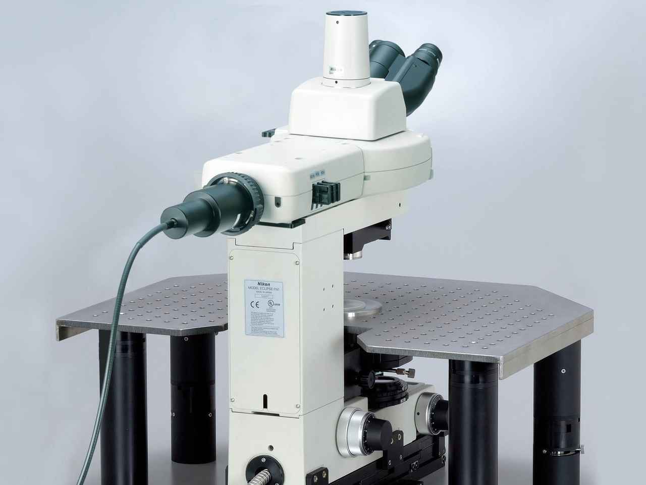 Eclipse FN1 | Upright Microscopes | Products | Nikon Instruments Inc.