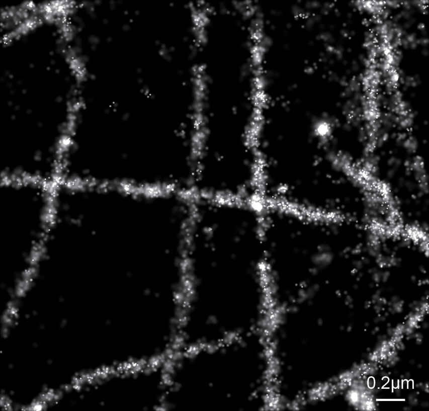 N-STORM | Super-Resolution Microscopes | Products | Nikon Instruments Inc.