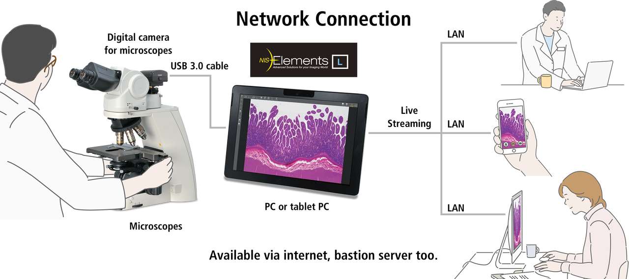 NIS-Elements L | Cameras | Products | Nikon Instruments Inc.