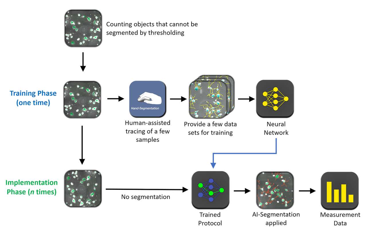 NIS.ai | NIS-Elements | Software | Products | Nikon Instruments Inc.