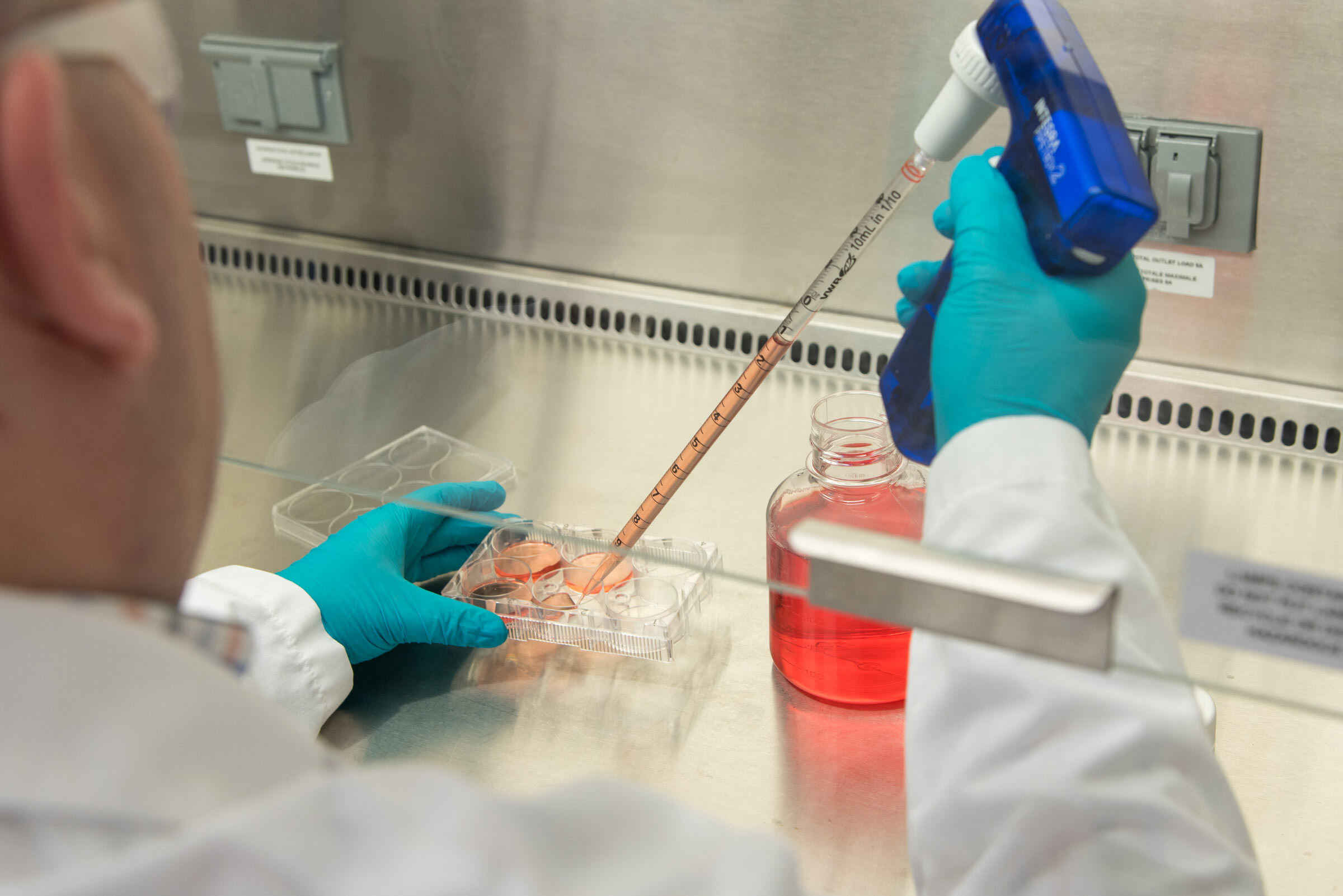 Nikon BioImaging Lab: Shonan Health Innovation Park | BioImaging ...