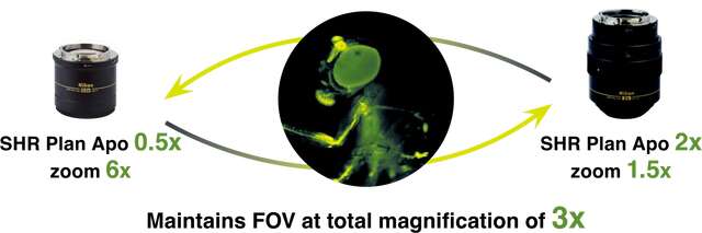 SMZ25 / SMZ18 | Stereo Microscopes | Nikon Instruments Products | Nikon ...
