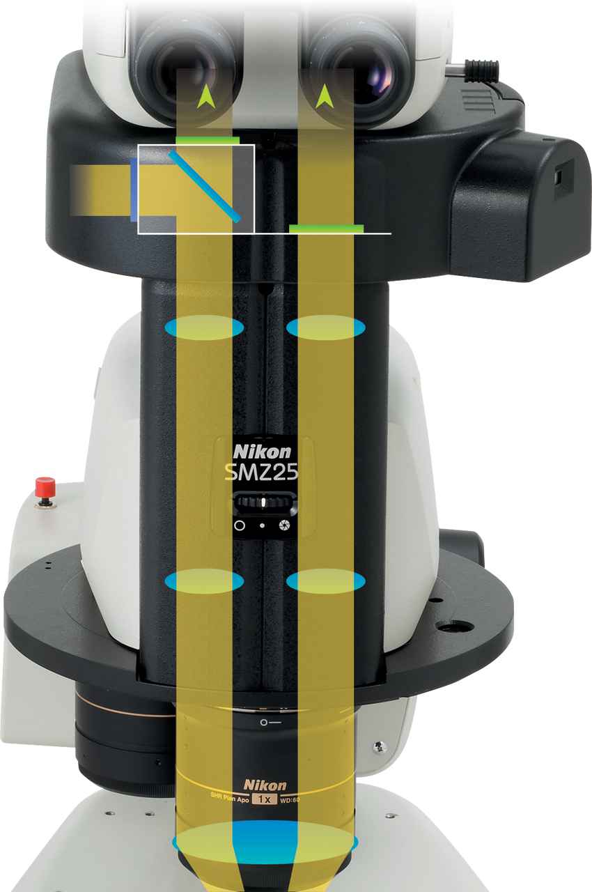 SMZ25 / SMZ18 | 実体顕微鏡&ユニバーサルズーム顕微鏡 | 製品情報 | 株式会社ニコンソリューションズ