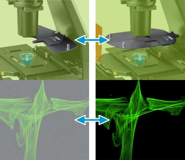 ECLIPSE Ts2 | Inverted Microscopes | Nikon Instruments Products | Nikon ...