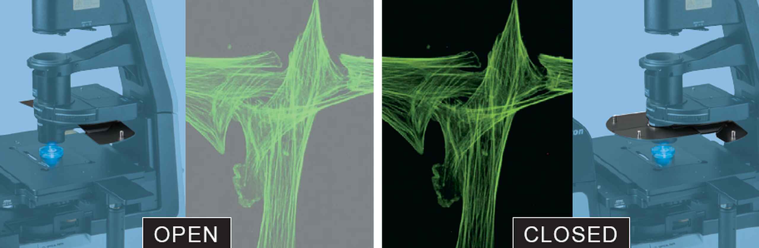 ECLIPSE Ts2R | Inverted Microscopes | Nikon Instruments Products ...