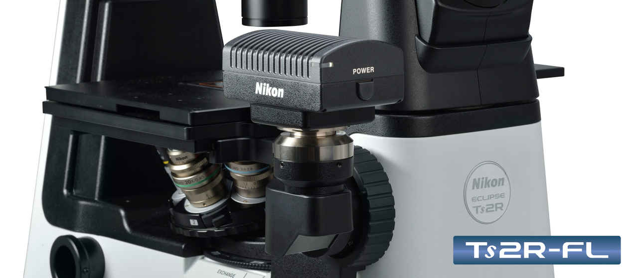 Eclipse Ts2R | Inverted Microscopes | Products | Nikon Instruments Inc.