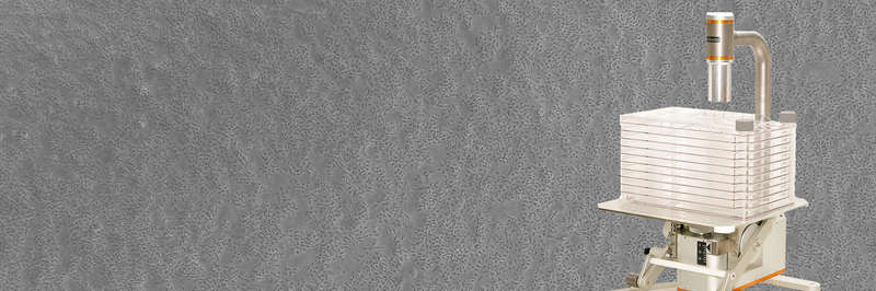 BioStudio-mw | 細胞スクリーニング | 製品情報 | 株式会社ニコンソリューションズ