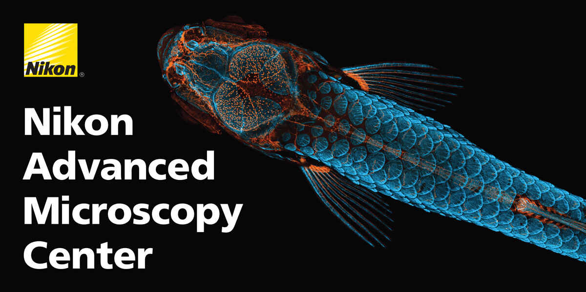 Nikon Instruments Inc. Opens Advanced Microscopy Center in San ...