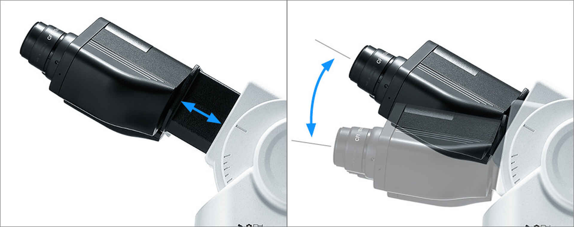 Customer Interview | ECLIPSE Ci Series | Upright Microscopes | Products ...