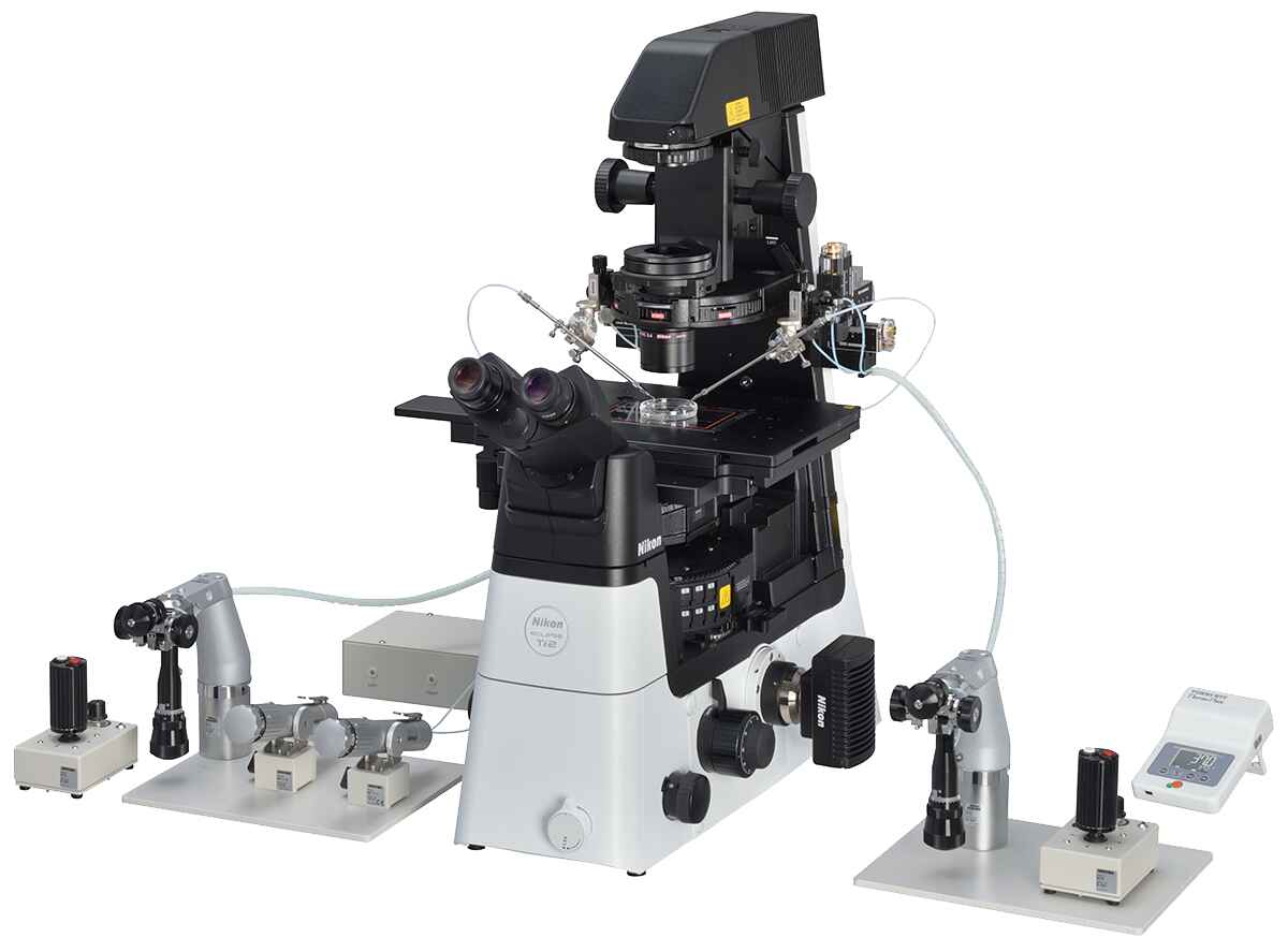 ECLIPSE Ti2-U IVF | Inverted Microscopes | Nikon Instruments Products ...