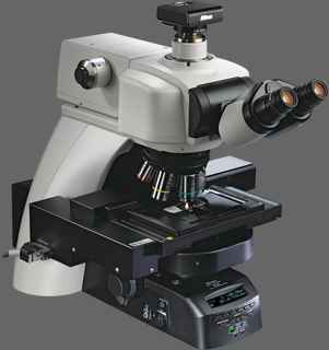 AX / AX R | Confocal Microscopes | Nikon Instruments Products | Nikon ...