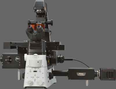 Applications | Nikon Instruments Inc.