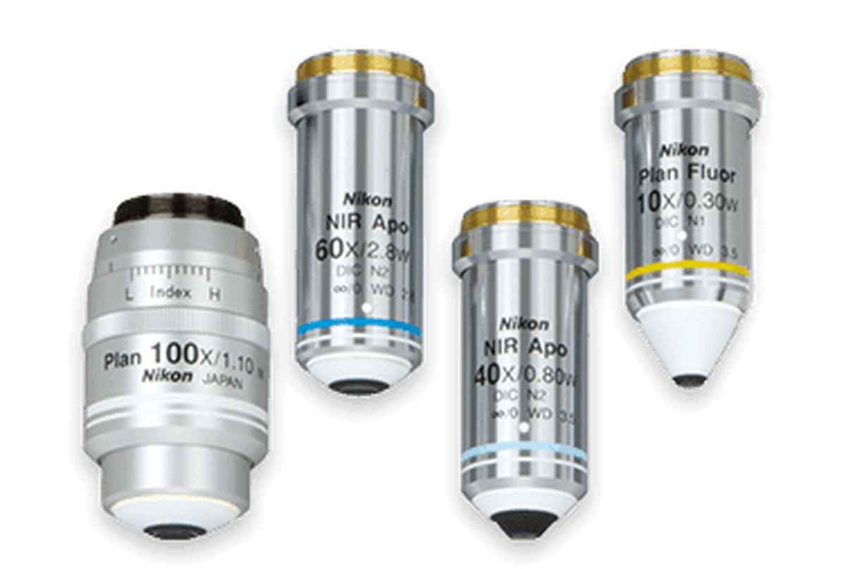 CFI60 Water Dipping Series | Optics | Products | Nikon Instruments Inc.