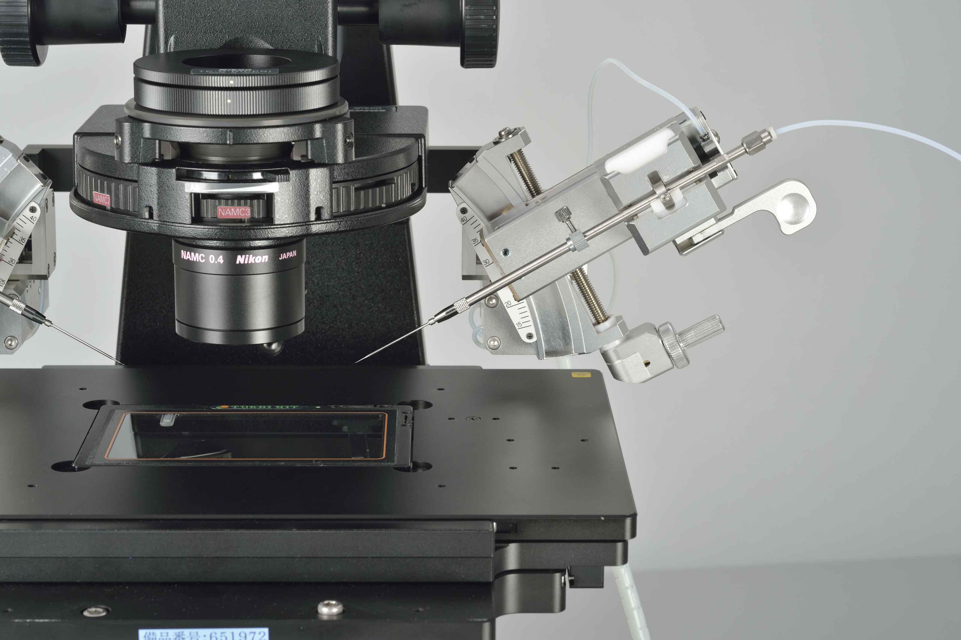 Microinjection | Life Sciences | Solutions | Nikon Instruments Inc.
