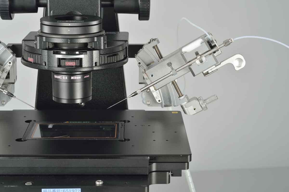 Microinjection | Life Sciences | Solutions | Nikon Instruments Inc.